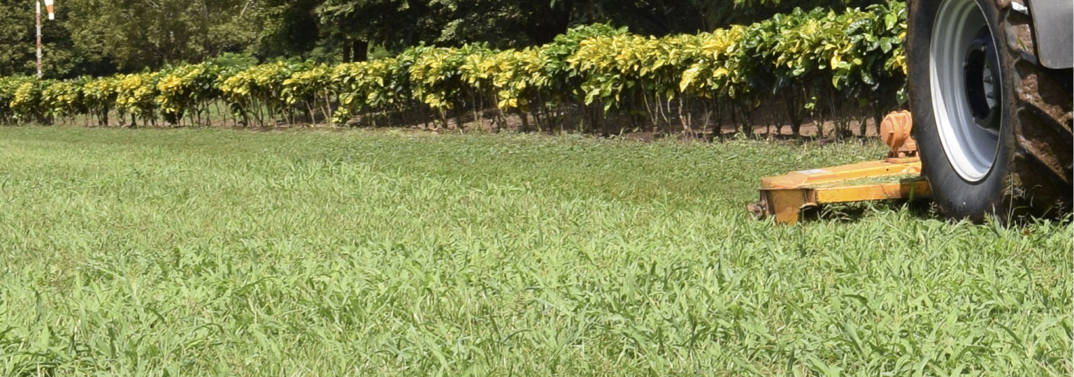 Chapeadora de 1.3 a 1.7 m TATU - Saturnia Tractores e Implementos Agrícolas